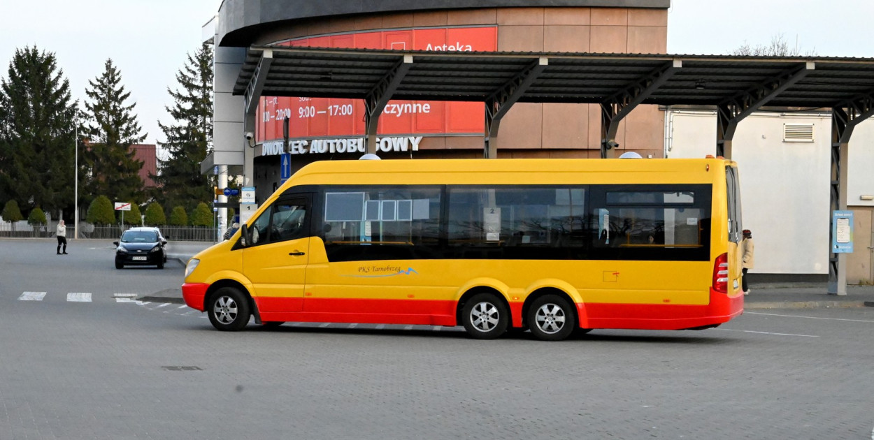 Za kilka dni na ulice Tarnobrzega wyjadą nowe autobusy komunikacji ...